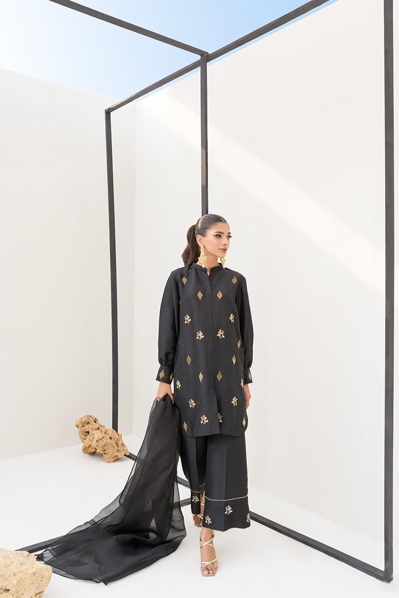 AI-0101 - Amna Iqbal